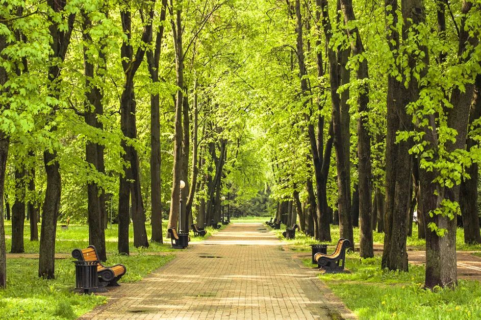 Minsk is preparing for the holiday: new parks, squares and a record ...